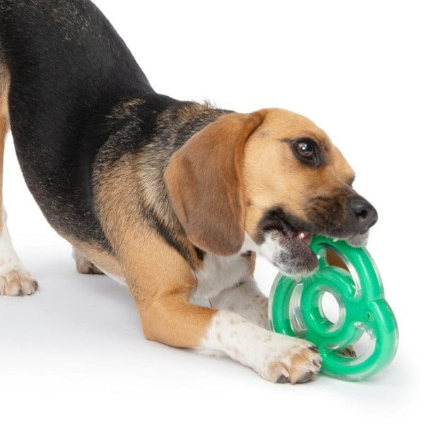Zeus Duo Ninja Star – Petland Canada