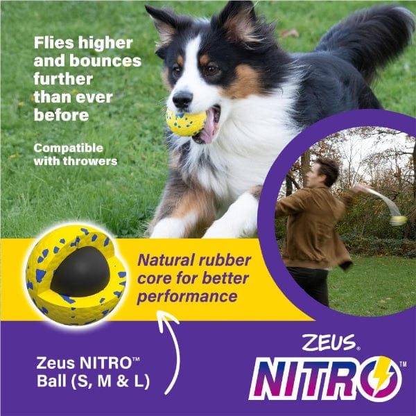 Zeus NITRO Ball – Petland Canada
