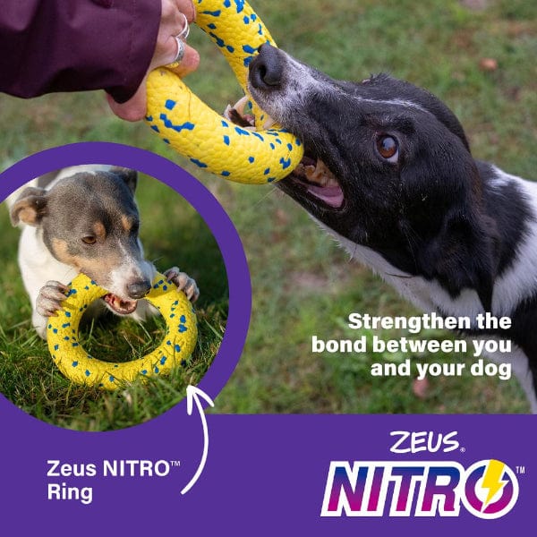 Zeus NITRO Ring – Petland Canada